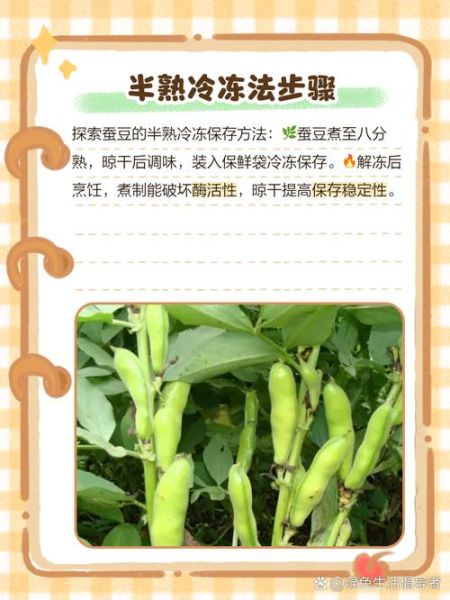 水煮带壳蚕豆怎么煮_带壳蚕豆煮多久才软-第3张图片-山城妙识