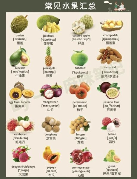 哈密瓜英文单词怎么拼写_哈密瓜英文怎么说-第1张图片-山城妙识