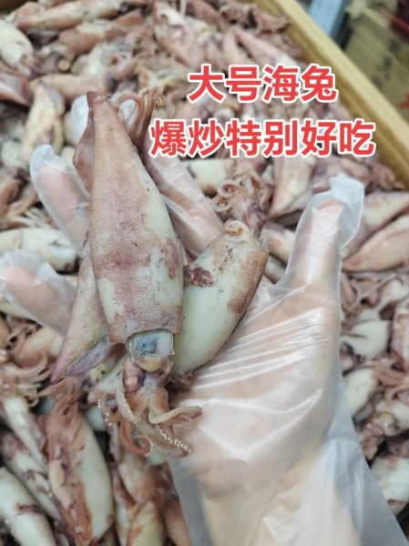 海兔图片多少钱一斤_海兔市场价格行情-第3张图片-山城妙识