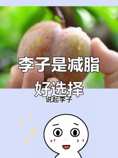 李子热量高吗_李子一天吃几个合适-第2张图片-山城妙识
