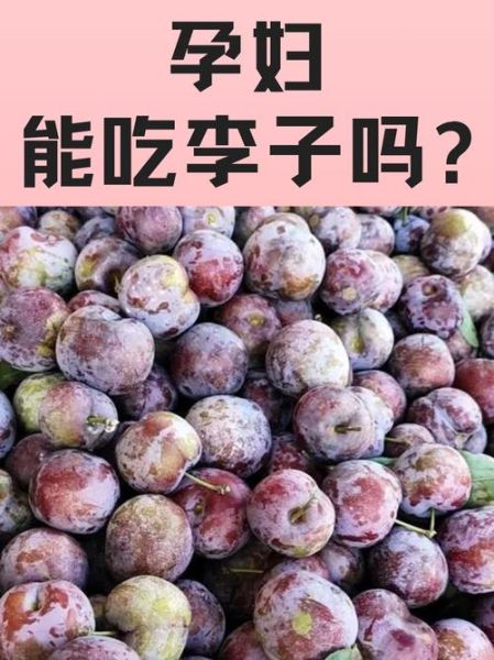 李子热量高吗_李子一天吃几个合适-第3张图片-山城妙识