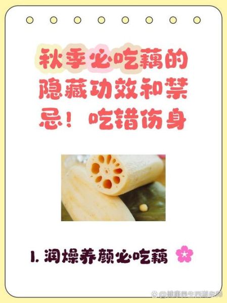 藕的营养价值及功效禁忌_哪些人不能吃藕-第1张图片-山城妙识