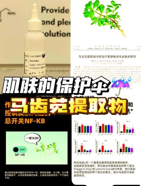 马齿苋提取物对皮肤有什么功效_马齿苋提取物能修复敏感肌吗-第2张图片-山城妙识