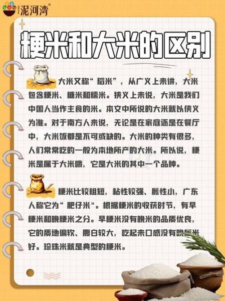 胃不好吃籼米还是粳米_哪个更易消化-第1张图片-山城妙识