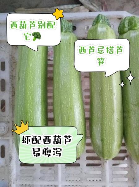 芦笋不能和什么一起吃_六种禁忌食物-第2张图片-山城妙识