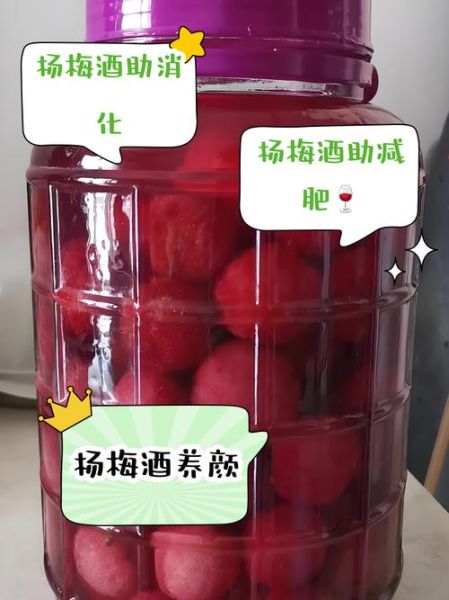 杨梅酒的功效与作用_杨梅酒能长期喝吗-第1张图片-山城妙识