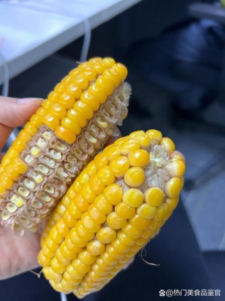 老玉米怎么煮才能软_老玉米煮多久才软糯-第3张图片-山城妙识