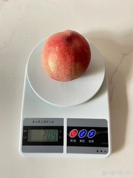 桃子减肥吗_桃子热量高吗-第2张图片-山城妙识