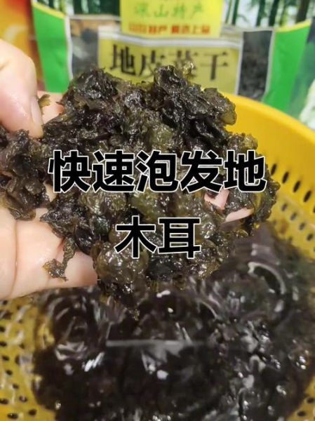 地木耳怎么泡发_地木耳做法大全图解-第1张图片-山城妙识