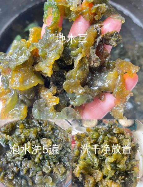地木耳怎么泡发_地木耳做法大全图解-第3张图片-山城妙识