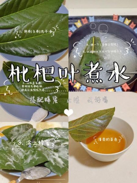 枇杷叶怎么熬水治咳嗽_枇杷叶止咳水做法-第1张图片-山城妙识