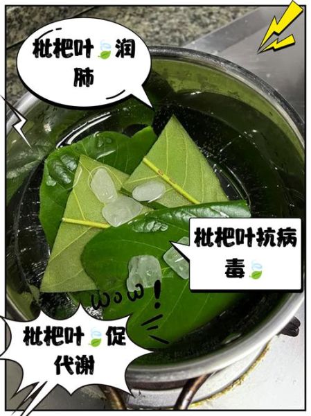 枇杷叶怎么熬水治咳嗽_枇杷叶止咳水做法-第2张图片-山城妙识