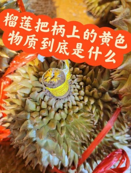 榴莲黄版无限刷怎么操作_无限刷会被封号吗-第1张图片-山城妙识