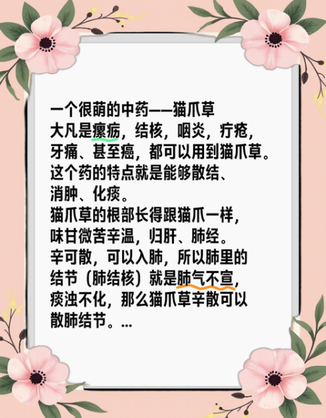 猫爪草的功效与作用及禁忌_猫爪草能长期泡水喝吗-第3张图片-山城妙识 猫爪草的功效与作用及禁忌_猫爪草能长期泡水喝吗-第3张图片-山城妙识