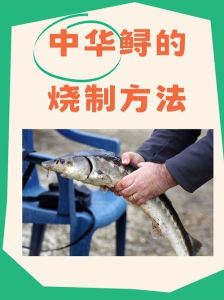 清蒸中华鲟怎么做_清蒸中华鲟蒸多久-第1张图片-山城妙识 清蒸中华鲟怎么做_清蒸中华鲟蒸多久-第1张图片-山城妙识