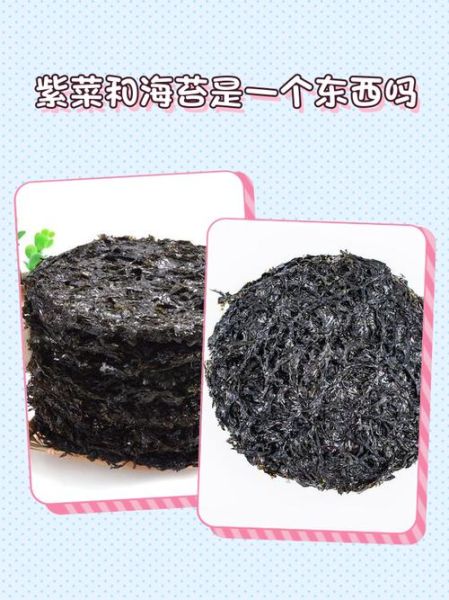 海苔和紫菜的区别图片_哪个更有营养-第1张图片-山城妙识