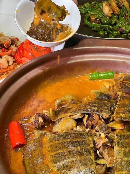 红烧甲鱼配菜有哪些_红烧甲鱼配菜怎么搭配-第2张图片-山城妙识 红烧甲鱼配菜有哪些_红烧甲鱼配菜怎么搭配-第2张图片-山城妙识