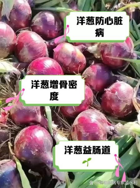 女人吃洋葱有什么好处_女人吃洋葱能减肥吗-第3张图片-山城妙识