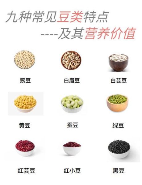 豆类图片大全_如何识别常见豆类-第2张图片-山城妙识