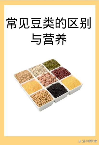 豆类图片大全_如何识别常见豆类-第3张图片-山城妙识