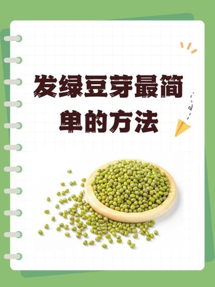 家庭绿豆芽怎么发_绿豆芽发芽最快的方法-第1张图片-山城妙识