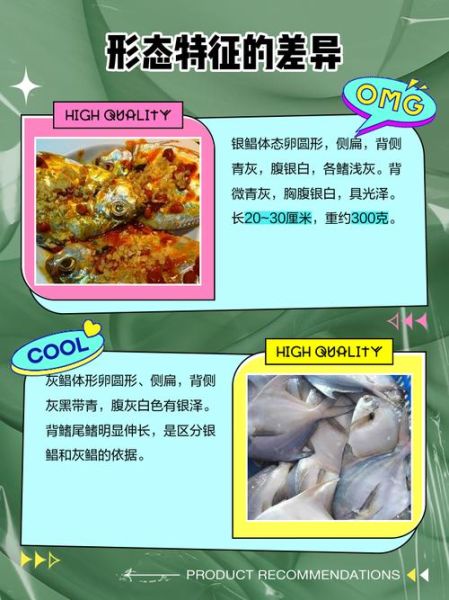 平鱼是鲳鱼吗_平鱼和鲳鱼的区别-第1张图片-山城妙识 平鱼是鲳鱼吗_平鱼和鲳鱼的区别-第1张图片-山城妙识