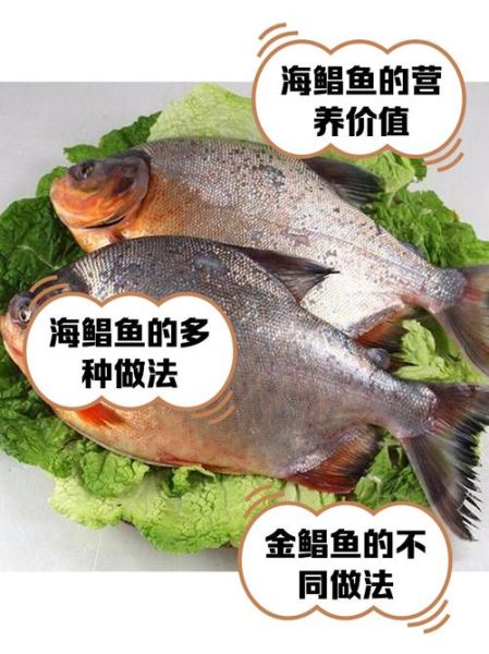 平鱼是鲳鱼吗_平鱼和鲳鱼的区别-第3张图片-山城妙识 平鱼是鲳鱼吗_平鱼和鲳鱼的区别-第3张图片-山城妙识