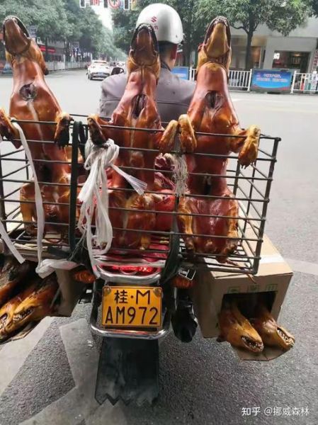 狗肉节是几月几号_玉林狗肉节日期-第1张图片-山城妙识