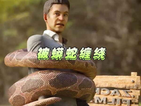 蟒蛇为什么喜欢缠女人_蟒蛇缠人真实原因-第3张图片-山城妙识 蟒蛇为什么喜欢缠女人_蟒蛇缠人真实原因-第3张图片-山城妙识
