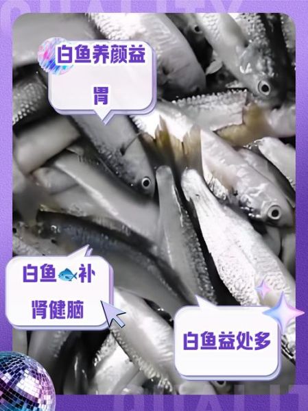 白鱼怎么做好吃_白鱼的营养价值-第1张图片-山城妙识 白鱼怎么做好吃_白鱼的营养价值-第1张图片-山城妙识
