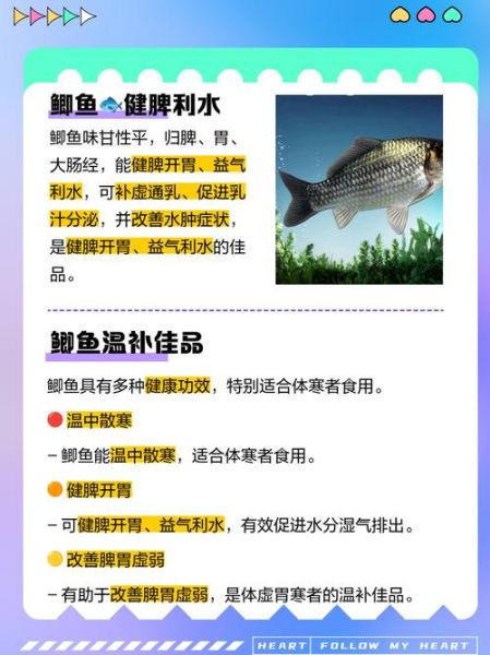 吃鲫鱼的好处与禁忌_孕妇能吃鲫鱼吗-第2张图片-山城妙识