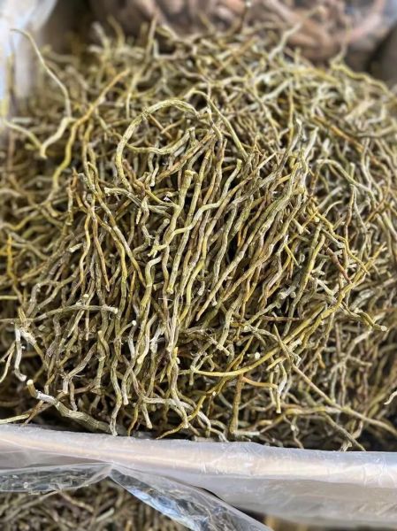 2020铁皮石斛价格多少钱一斤_铁皮石斛价格表-第1张图片-山城妙识