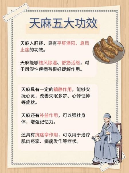 天麻的正确吃法_天麻用量一天吃多少克-第1张图片-山城妙识