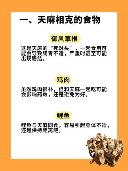 天麻的正确吃法_天麻用量一天吃多少克-第2张图片-山城妙识