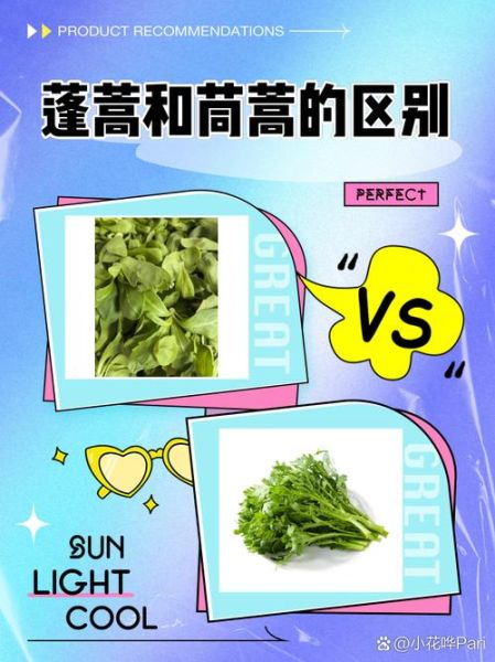 蓬蒿比喻什么_蓬蒿象征意义有哪些-第1张图片-山城妙识