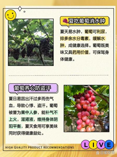 经常吃葡萄有什么好处_葡萄的营养价值-第2张图片-山城妙识
