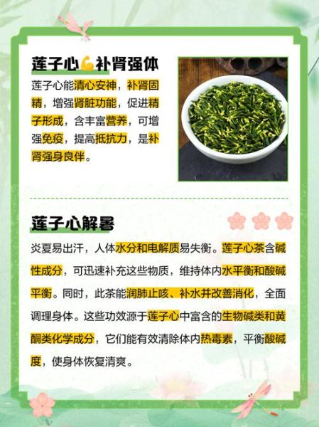 莲子心茶禁忌人群_哪些人不能喝莲子心茶-第2张图片-山城妙识
