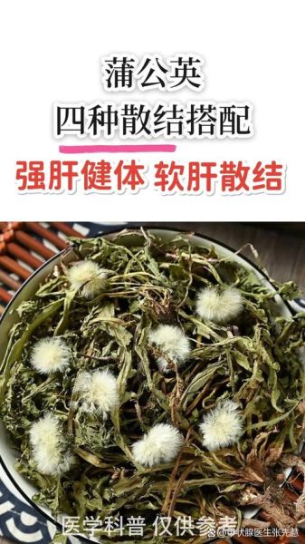 蒲公英不能和什么一起吃_蒲公英相克食物有哪些-第3张图片-山城妙识