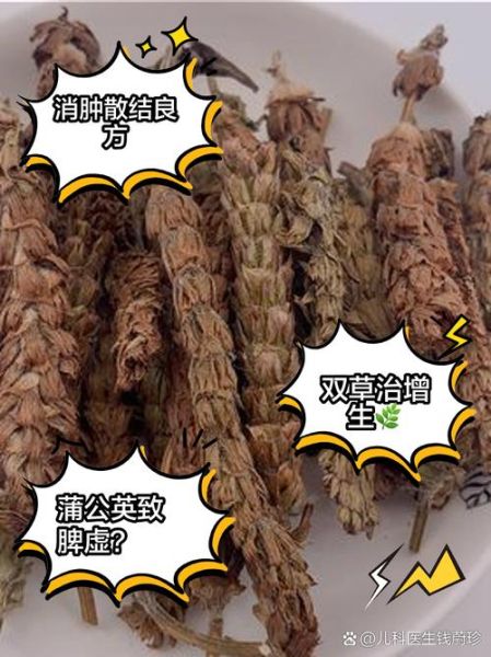 蒲公英不能和什么一起吃_蒲公英相克食物有哪些-第1张图片-山城妙识