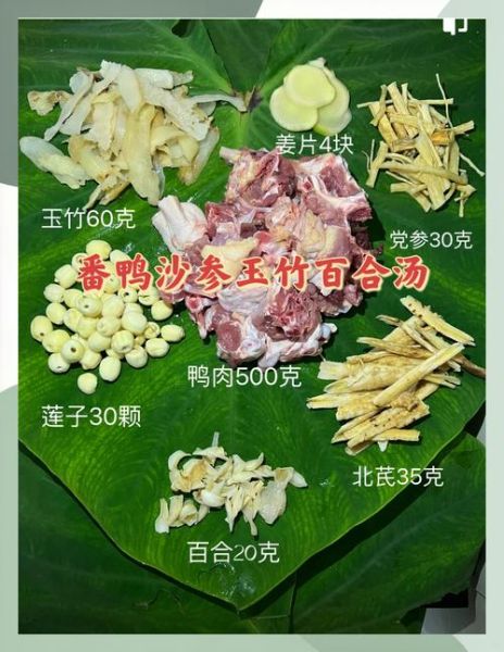 番鸭炖汤的家常做法_番鸭炖汤放什么配料最香-第1张图片-山城妙识 番鸭炖汤的家常做法_番鸭炖汤放什么配料最香-第1张图片-山城妙识