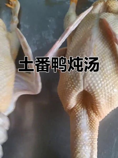 番鸭炖汤的家常做法_番鸭炖汤放什么配料最香-第2张图片-山城妙识 番鸭炖汤的家常做法_番鸭炖汤放什么配料最香-第2张图片-山城妙识