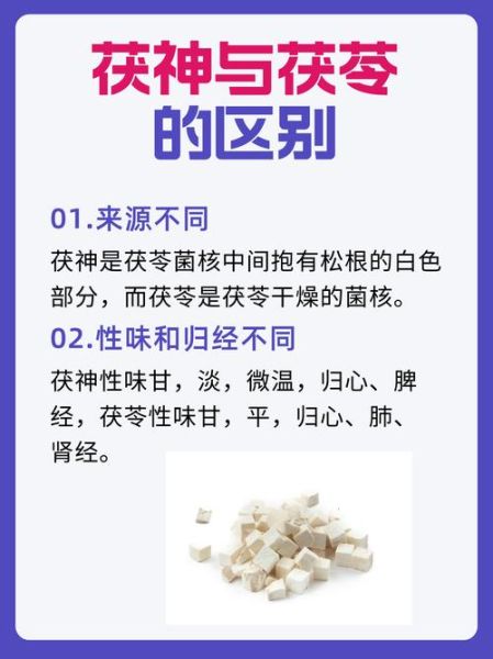 茯神的功效与作用_茯神主治什么病-第1张图片-山城妙识