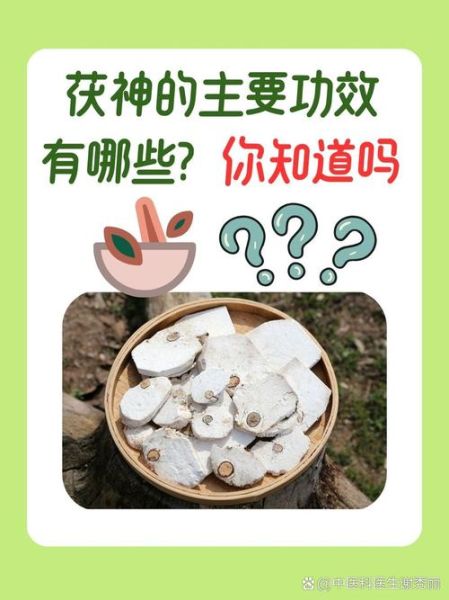 茯神的功效与作用_茯神主治什么病-第2张图片-山城妙识