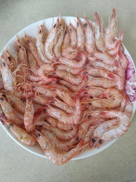 樱花虾怎么养_樱花虾饲养水质要求-第2张图片-山城妙识