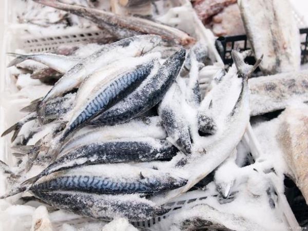 冷冻的海鱼怎么做好吃_解冻后还能保持鲜嫩吗-第1张图片-山城妙识