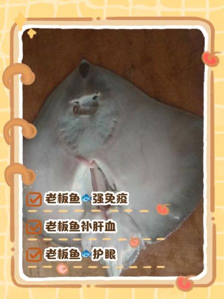 老板鱼的尾巴怎么处理_老板鱼尾巴怎么做好吃-第3张图片-山城妙识