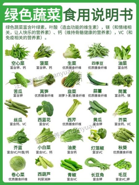 蔬菜的营养价值有哪些_蔬菜怎么吃最营养-第1张图片-山城妙识