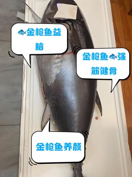 金枪鱼为什么难吃_金枪鱼口感差的原因-第1张图片-山城妙识 金枪鱼为什么难吃_金枪鱼口感差的原因-第1张图片-山城妙识