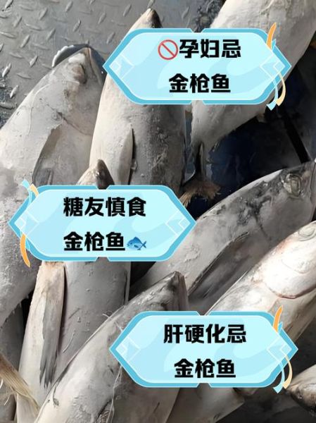 金枪鱼为什么难吃_金枪鱼口感差的原因-第3张图片-山城妙识 金枪鱼为什么难吃_金枪鱼口感差的原因-第3张图片-山城妙识