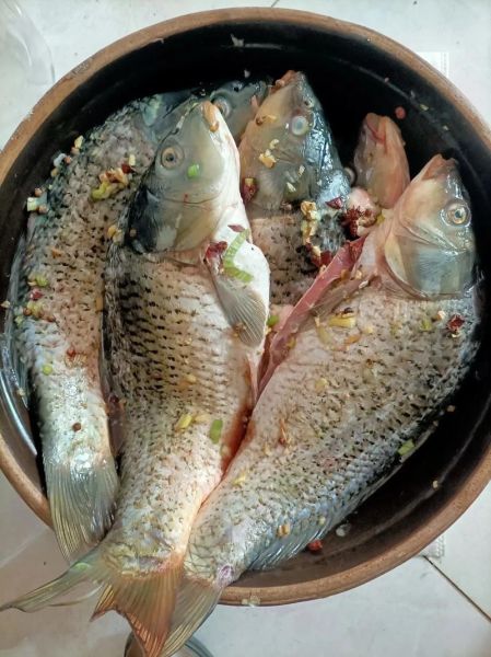 腌鱼一般腌多长时间_腌鱼多久能吃-第1张图片-山城妙识